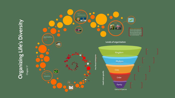 6- chp 17 Organizing Life's Diversity by Cynthia Miller