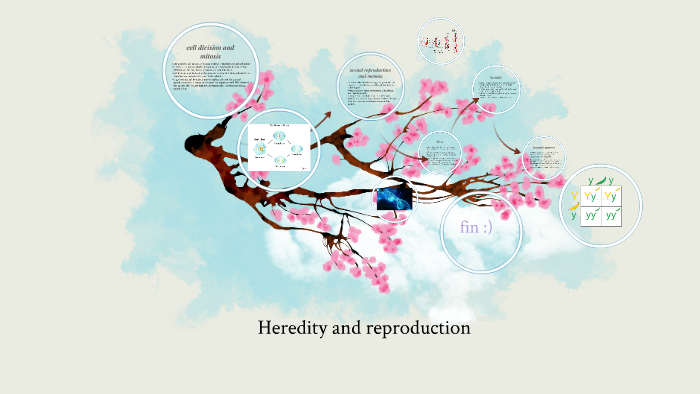 Heredity and reproduction by CKAY HRT on Prezi