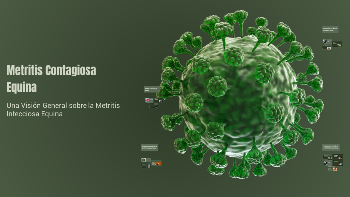 Metritis Contagiosa Equina by Juan Diego on Prezi