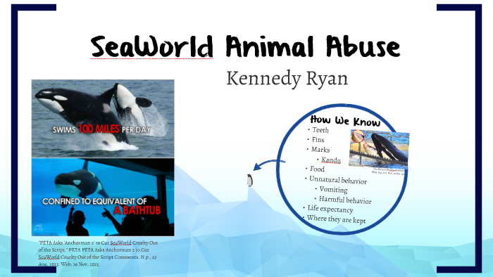 SeaWorld Animal Abuse by kennedy ryan