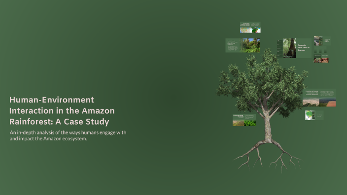 Human-Environment Interaction in the Amazon Rainforest: A Case Study by ...