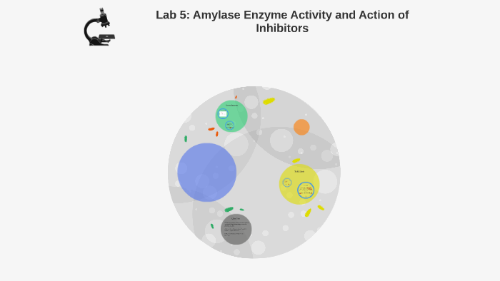 Lab 5: Amylase Enzyme Activity and Action of Inhibitors by Maria Farag ...