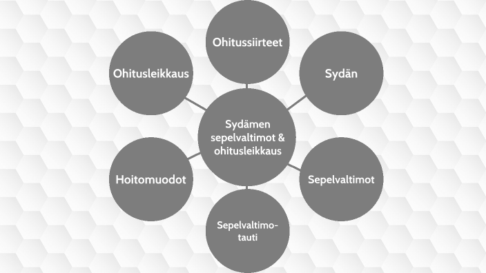 Sepelvaltimot ja ohitusleikkaus by Fia Rautavuori on Prezi
