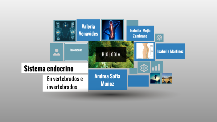 El sistema endocrino en invertebrados by isabella mejia on Prezi