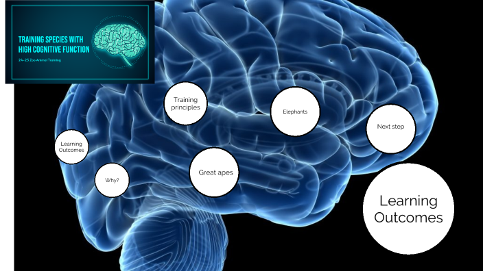 24-25 Training species with high cognitive function by Olly O'Malley on ...