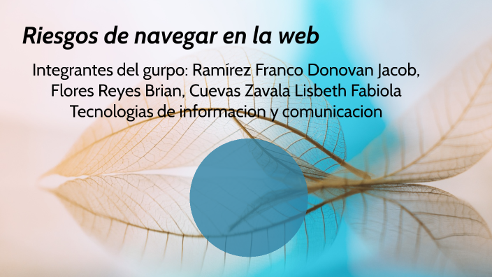 Riesgos de navegar en la web by Donovan Franco on Prezi