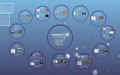 Animal Cell is like a Football Team by Mya Christopher on Prezi