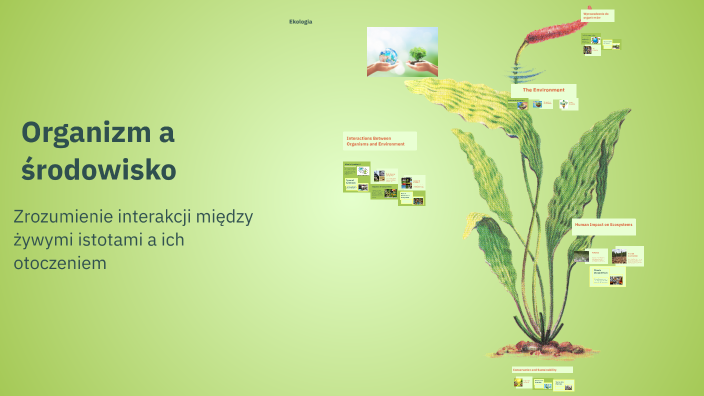 Organizm a środowisko by Mateusz Jurczak on Prezi