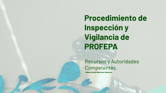 Procedimiento de Inspección y Vigilancia de PROFEPA by Alexis David ...