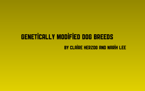 Genetically Modified Dog Breeds by glen coco on Prezi