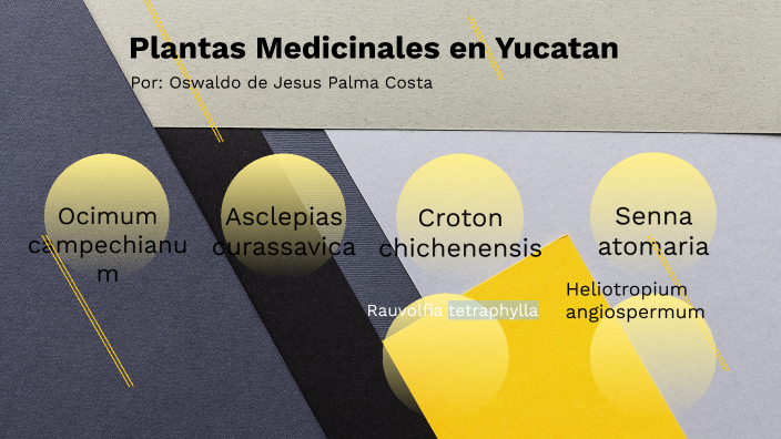 Plantas medicinales en Yucatan by Oswaldo Palma on Prezi