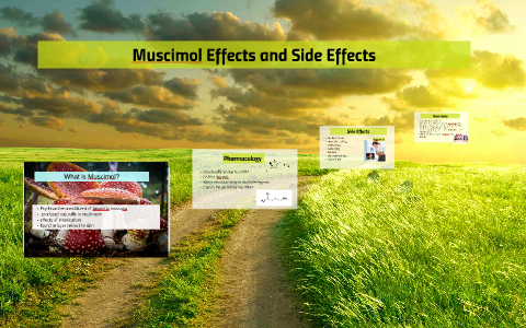 Muscimol Effects and Side Effects by sarah hassan on Prezi