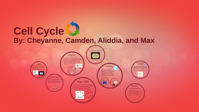Cell Cycle by Cheyanne Greene on Prezi