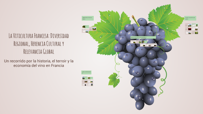La Viticultura Francesa: Diversidad Regional, Herencia Cultural y ...