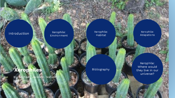 Xerophiles by Michael Kovac on Prezi
