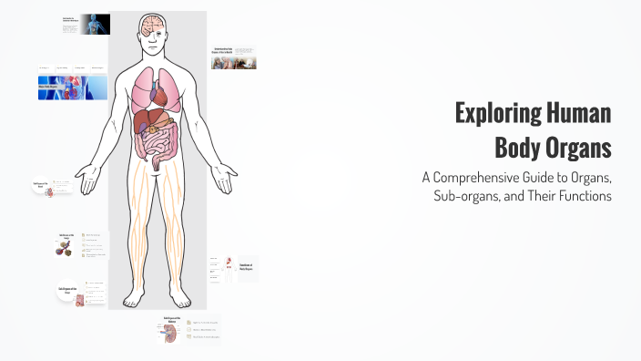 Exploring Human Body Organs by Warren Lagunero on Prezi