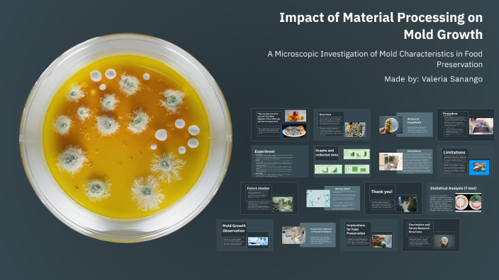Impact of Material Processing on Mold Growth: A Microscopic ...