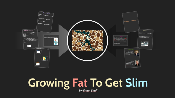 Growing Fat To Get Slim by Eman Shafi