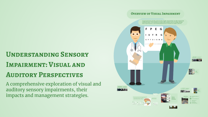 Understanding Sensory Impairment: Visual and Auditory Perspectives by ...