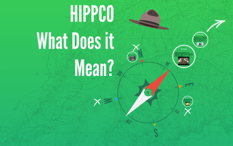 Hippco What Does it Mean by Tymir Lee on Prezi
