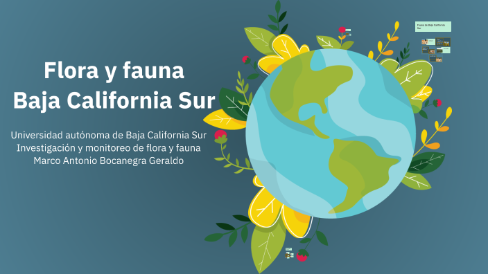 Flora y fauna de Baja California Sur by Marco Bocanegra Geraldo on Prezi