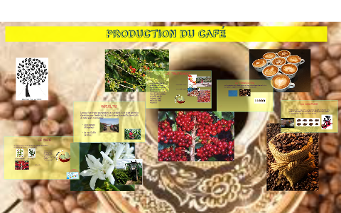 PRODUCTION DU CAFÉ by on Prezi