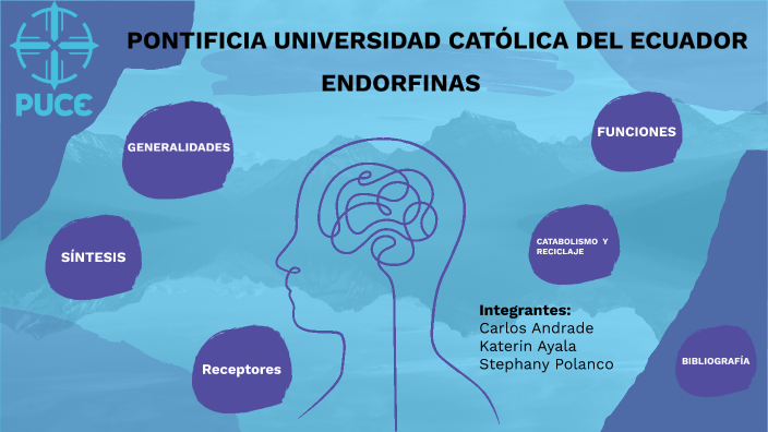 Psicosocial by Stephany Polanco on Prezi