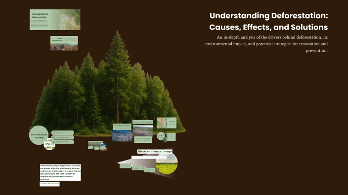 Understanding Deforestation: Causes, Effects, and Solutions by Lucas ...