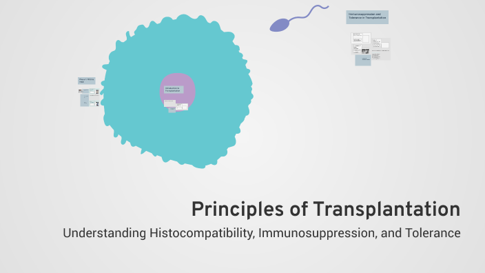 Principles of Transplantation by sayed helal on Prezi