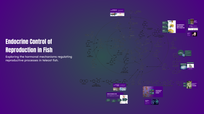 Endocrine Control of Reproduction in Fish by Ákos Horváth on Prezi
