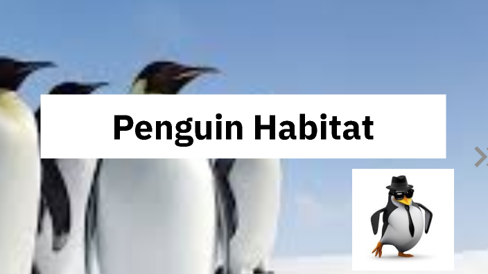 Penguin Habitat by Alexa Wheeler on Prezi