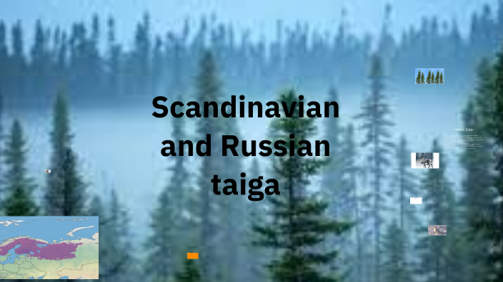 Scandinavian and Russian taiga by n castaneda on Prezi