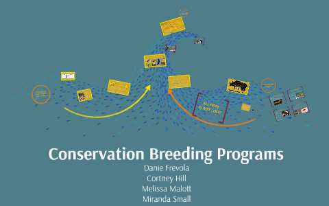 Conservation Breeding Programs by Miranda Edmondson on Prezi