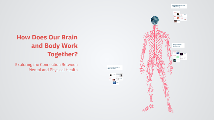 How Does Our Brain and Body Work Together? by Paige James on Prezi