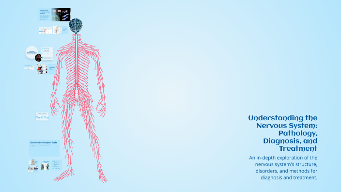 Understanding the Nervous System: Pathology, Diagnosis, and Treatment ...