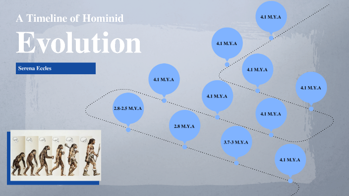 Timeline of Evolution by S E on Prezi