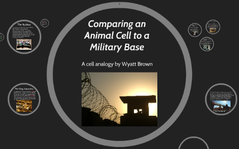 Comparing an Animal Cell to a Military Base by Wyatt Brown on Prezi