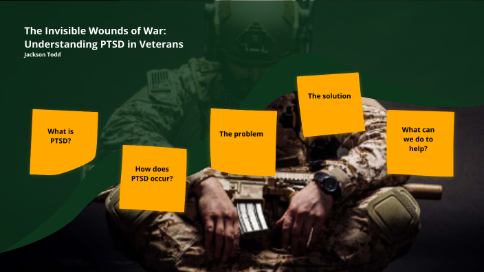 The Invisible Wounds of War: Understanding PTSD in Veterans by Jackson ...
