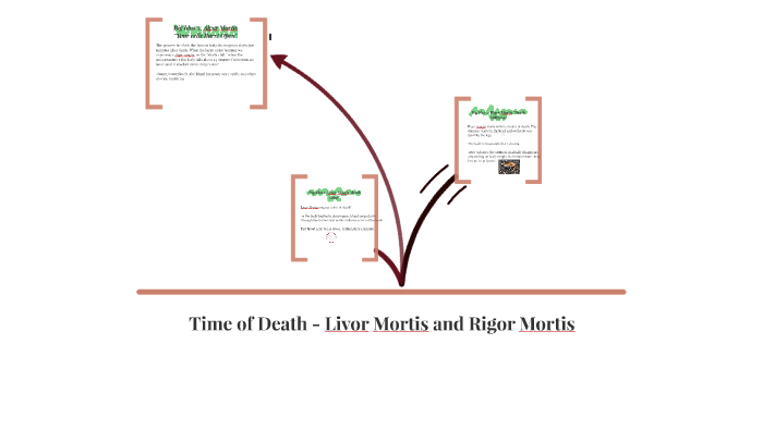 Livor Mortis and Rigor Mortis by esthefany hernandez