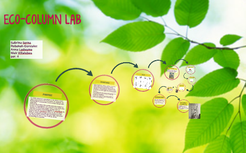 ECO-COLUMN LAB by Anna Ledesma on Prezi