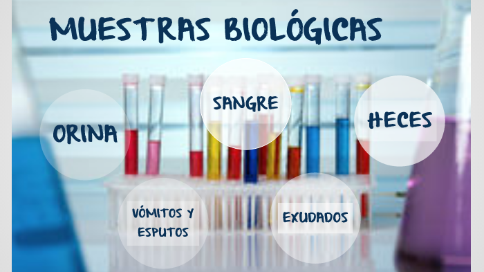 muestras biológicas by rocio pelaez on Prezi