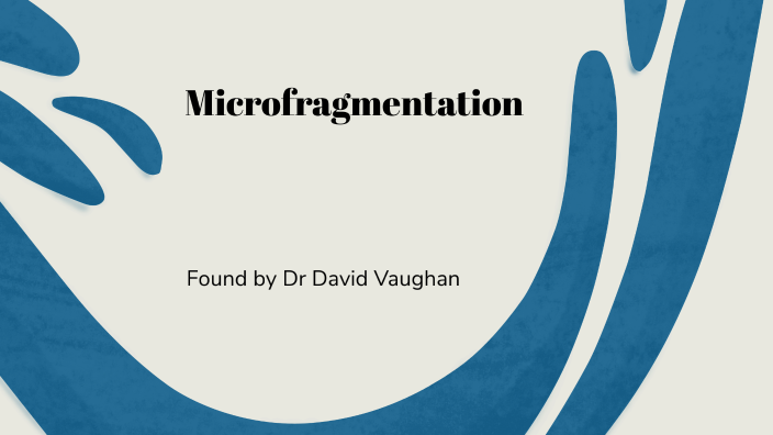 Microfragmentation by David Nessler on Prezi