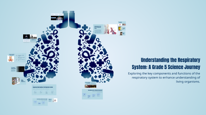 Understanding the Respiratory System: A Grade 5 Science Journey by ...
