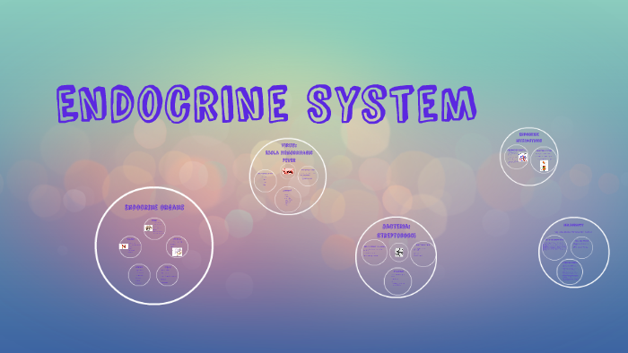 Endocrine System by Nathan George on Prezi