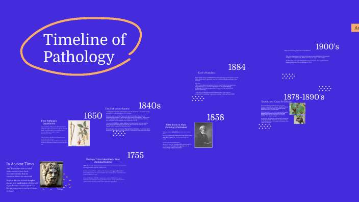 Timeline of Pathology by hi hi on Prezi