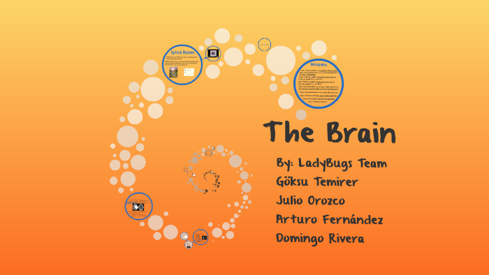 The Brain by rolando alaniz on Prezi