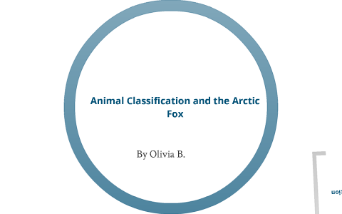 Animal Classification and the Artic Fox by olivia bowman on Prezi
