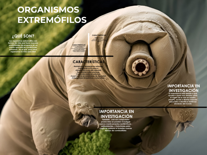 ORGANISMOS EXTREMÓFILOS by Nicolás Rodriguez on Prezi