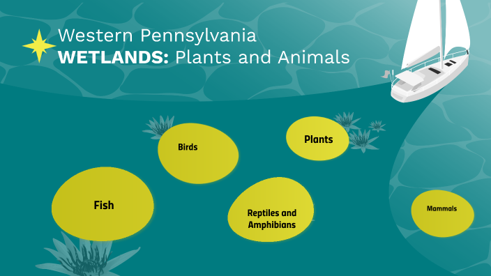 Western PA Wetlands by Daniel Nill on Prezi