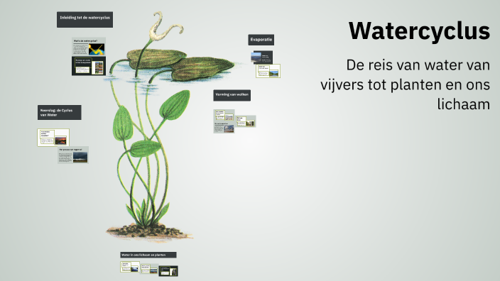 Watercyclus by Hasan safranti on Prezi